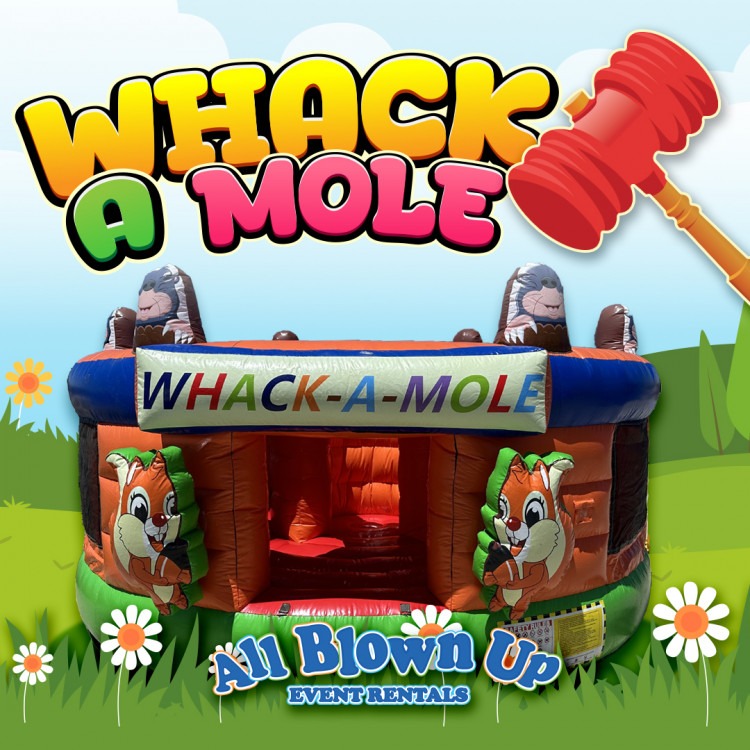 Human Whack A Mole - All Blown Up Inflatable Rentals Newburgh IN